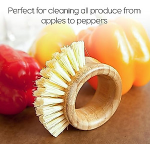 Full Circle The Ring Bamboo Vegetable and Fruit Cleaning Brush - A Versatile Scrubber for Food, Including Potatoes, Mushrooms, and Veggies with Recycled Bristles and Handle
