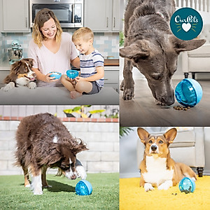 Our Pets Smarter Toys IQ Treat Ball - Colors Mary Vary - 4" - for Larger Dogs
