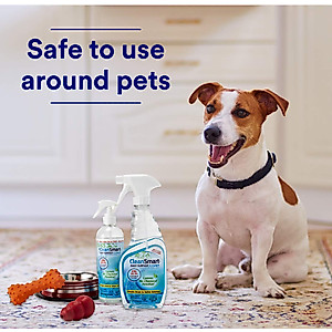 CleanSmart Daily Surface Cleaner and Pet-safe Disinfectant, Kills 99.9% of Viruses & Bacteria, 23 ounce Spray (pack of 2)