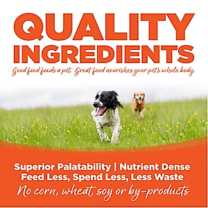 NutriSource Performance Dog Food, Made with Chicken and Rice, with Wholesome Grains, 40LB, Dry Dog Food