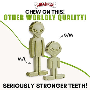 Bullibone Alien Bone: Chew Toy for Aggressive Chewers and Large Dogs