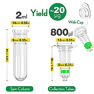 50Pcs 2mL Spin Column Micro centrifuge Tube Nucleic Acid Purification Column for Genomic DNA/RNA Purification, High Speed Plasmid Column & Collection Tube Kit by Biomed Scientific