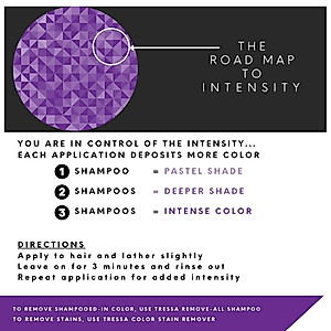 Watercolors INTENSE Semi Permanet Color Depositing Shampoo. Sulfate & Paraben Free to Maintain & Enhance Hair Color 8 fl oz - PURPLE