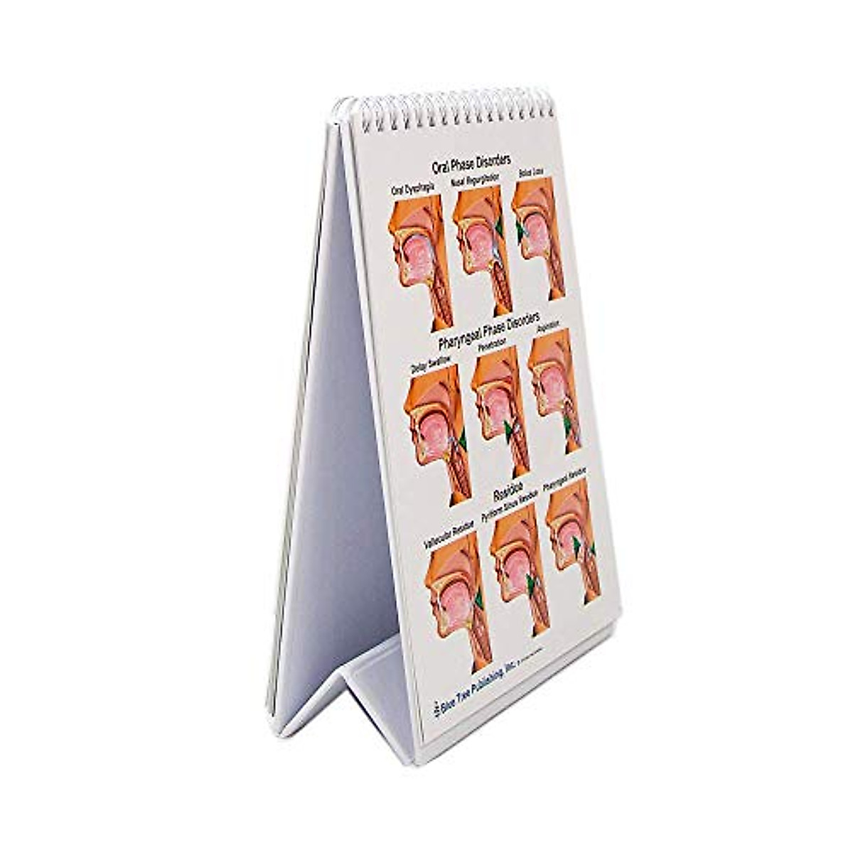 SLP Anatomy Flip Book Speech Language Pathology