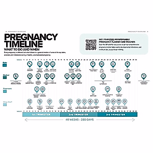 The Simplest Pregnancy Book in the World: The Illustrated, Grab-and-Do Guide for a Healthy, Happy Pregnancy and Childbirth