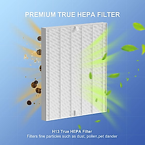 3 Pack C545 True HEPA Replacement Filter S Compatible with Winix C545, B151, P150, 9300 Air Cleaner Purifier, Replaces Winix Filter S 1712-0096-00 and 2522-0058-00