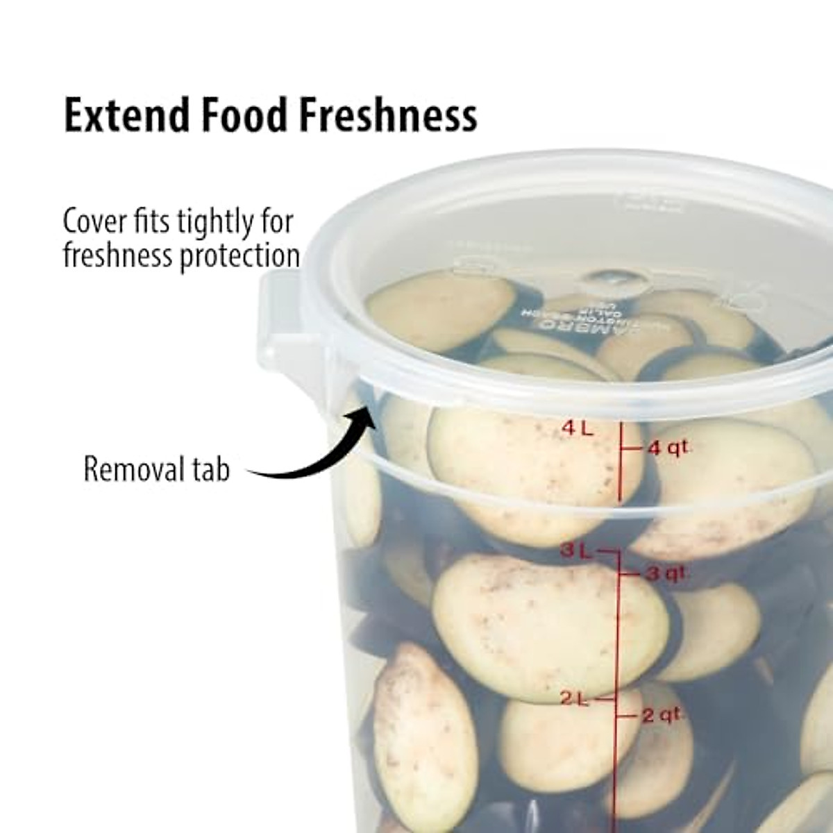 Cambro 4 QT (Quart) BPA-Free Round Food Storage Container with Lid (2 Pack) - Classic Series (Translucent)