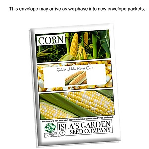 Golden Jubilee Yellow Sweet Corn Seeds for Planting, 30+ Seeds Per Packet, (Isla's Garden Seeds), Non GMO & Heirloom Seeds, Botanical Name: Corn Zea mays, Great Home Garden Gift
