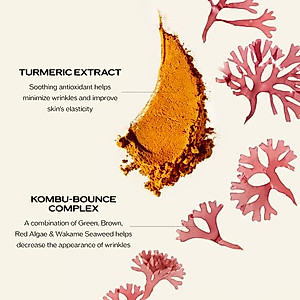 Shiseido Benefiance Wrinkle Smoothing Day Cream - 50 mL - Broad-Spectrum SPF 23 Anti-Aging Moisturizer - Visibly Corrects Wrinkles & Intensely Hydrates - Non-Comedogenic