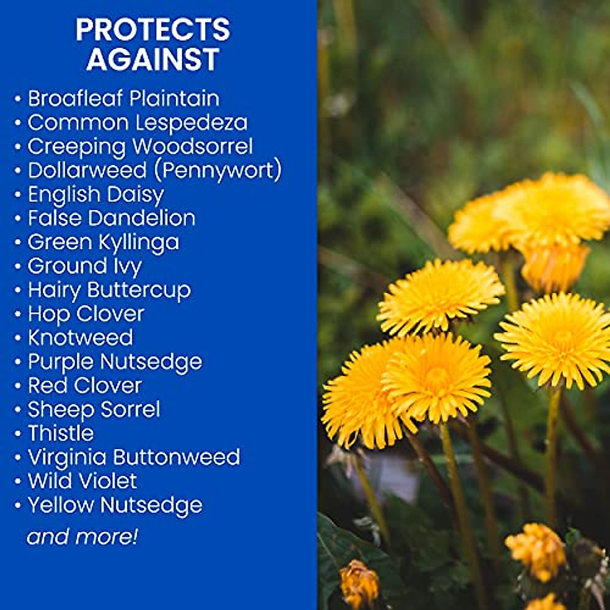 BioAdvanced 3-In-1 Weed and Feed for Southern Lawns, Granules, 25 lb