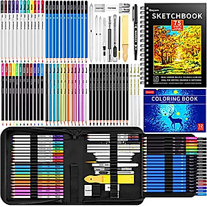 iBayam 78-Pack Drawing Set Sketching Kit, Pro Art Supplies with 75 Sheets 3-Color Sketch Pad, Coloring Book, Colored, Graphite, Charcoal, Watercolor, Metallic Pencils for Artists Adults Kids Beginners