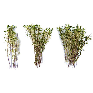 Green Stuff World - Tall Shrubbery - White Green 9927
