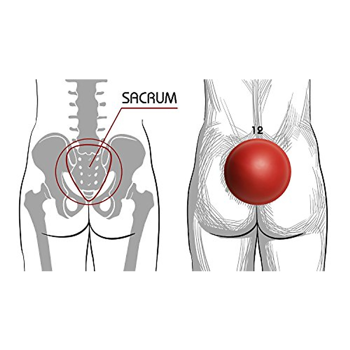 Pelvic Clock® Exercise Device for Chronic Hip & Lower Back Pain Relief