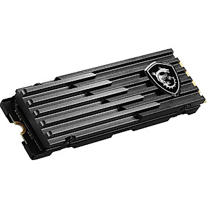 MSI SPATIUM M480 PCIe 4.0 NVMe M.2 1TB Play Internal SSD PCIe Gen4 NVMe (SPATIUM M480 PCIe 4.0 NVMe M.2 1TB Play)