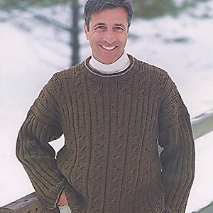 Spinrite Classic Wool Yarn, Heath Heather