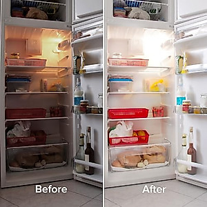 SANSI LED Refrigerator Light Bulb 45W Equivalent, 4W Appliance Bulb 450 Lumens 5000K Daylight Fridge Light Bulb, A11 Waterproof Frigidaire Replacement Light Bulbs, Non-Dimmable, Energy Saving, 2-Pack