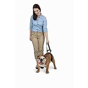 PetSafe CareLift Rear Support Harness - Lifting Aid with Handle and Shoulder Strap - Great for Pet Mobility and Older Dogs - Comfortable, Breathable Material - Easy to Adjust - Medium, Black