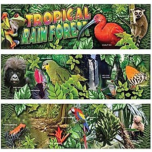 Carson Dellosa Mark Twain Tropical Rain Forest Bulletin Board Set (410039)