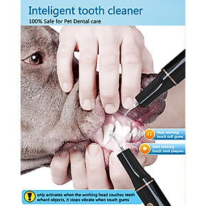 Hansaplast Plaque Remover for Teeth, Dog Teeth Cleaning, Dental Tools to Remove Tartar and Stains, Safe for Dogs & Cats, with Led Light & 5 Adjustable Modes (Black)