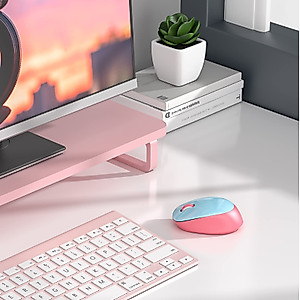 Trueque Wireless Mouse E702 2.4GHz Portable Computer Mouse with USB Receiver, Comfortable Silent Mice for Laptop, Chromebook, PC, Notebook, Desktop, Windows, Mac (Blue&Pink)