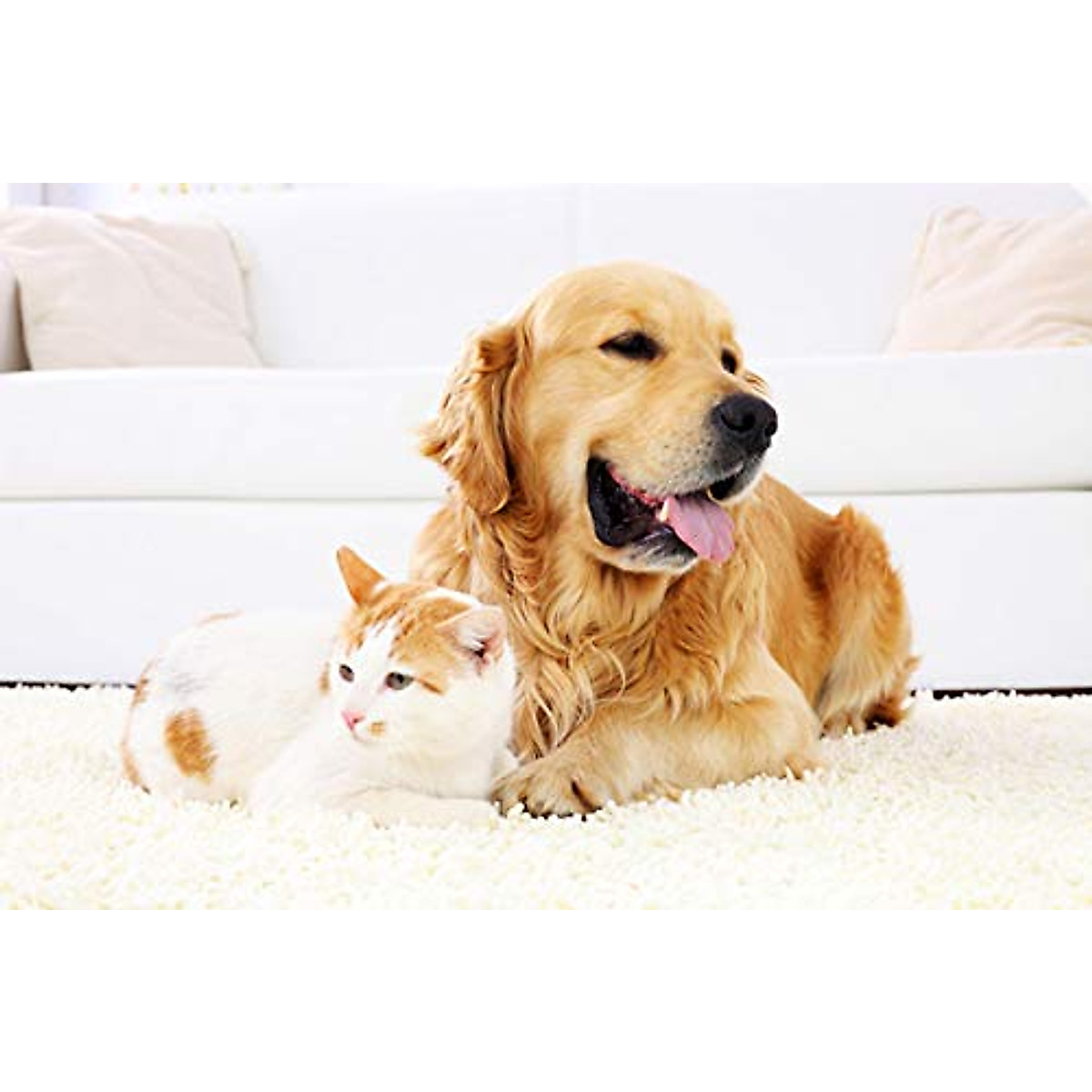 Dog Skin and Coat - Pets Healthy Hair and Coat - Boost Immune System - Nail Health - Premium Complex - Vitamin c for Dogs chewable - 120 Treats (2 Bottles)