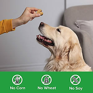 Blue Seal Kent Entrust Crunchers - Small Dog Treats, Happy Health Recipe - Crunchy Oven Baked Biscuits with Premium Ingredients, Nutritious Snack, Ideal for Training - Made in USA, 2-Pound Bag