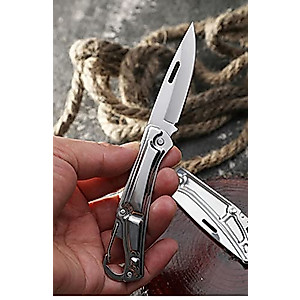 DHDestined Fateful Mini Pocket Knife Folding Knife, with 2.6in Sharp Steel Blade, EDC Knife for Hiking, Camping, Outdoor