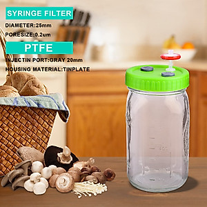 Eleganttime 8Pcs Wide Mouth Liquid Culture Lids,Cultivation Mason Jar Lid with 0.22um PTFE Syringe Filter & 20mm Self Healing Injection Ports For Mushroom(Green)