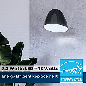 Feit Electric LED PAR30L Bulbs, 75W Equivalent, Dimmable, 3000K Bright White, 750 Lumens, 22 Year Lifetime, E26 Base, PAR30 Flood Lights, Spotlight Bulb,Weatherproof, 2 Pack, PAR30LDM/930CA/2