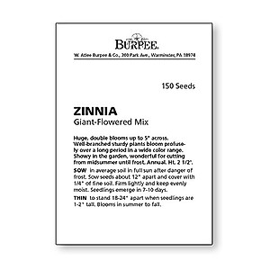 Burpee Giant Flowered Mixed Colors Zinnia Seeds 150 seeds