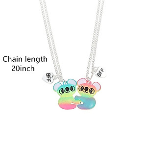 Saalort Best Friends Necklace for 2 Magnetic Split Heart Necklaces Set Friendship Gifts BFF Matching Pendant (Raccoon)