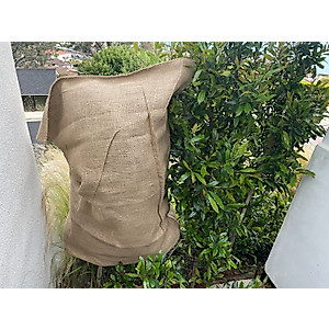 Burlap Bags for Vegetables & Gardening, 22" X 36"- Burlap Sacks Perfect for Kids - Plant Covers - Holds Up to 50lbs - Food Grade (Pack of 10)