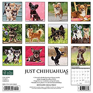 Just Chihuahuas 2024 Calendar