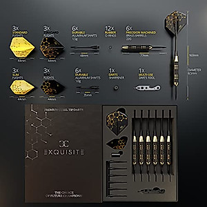 CC-Exquisite Premium Steel Tip Darts Set - Professional Darts, Brass Barrels, Metal Tip Darts, Extra Flights, (12) Aluminum Shafts 35/48, O-Rings, Dart Tool, Dart Sharpener, Darts Case.