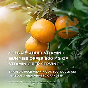 Solgar Adult Vitamin C 500 mg Gummies, Great-Tasting Strawberry Orange Flavor, Supports Immune Health, Non-GMO, Vegan, Gluten & Dairy Free, 30 Servings, 120 Count
