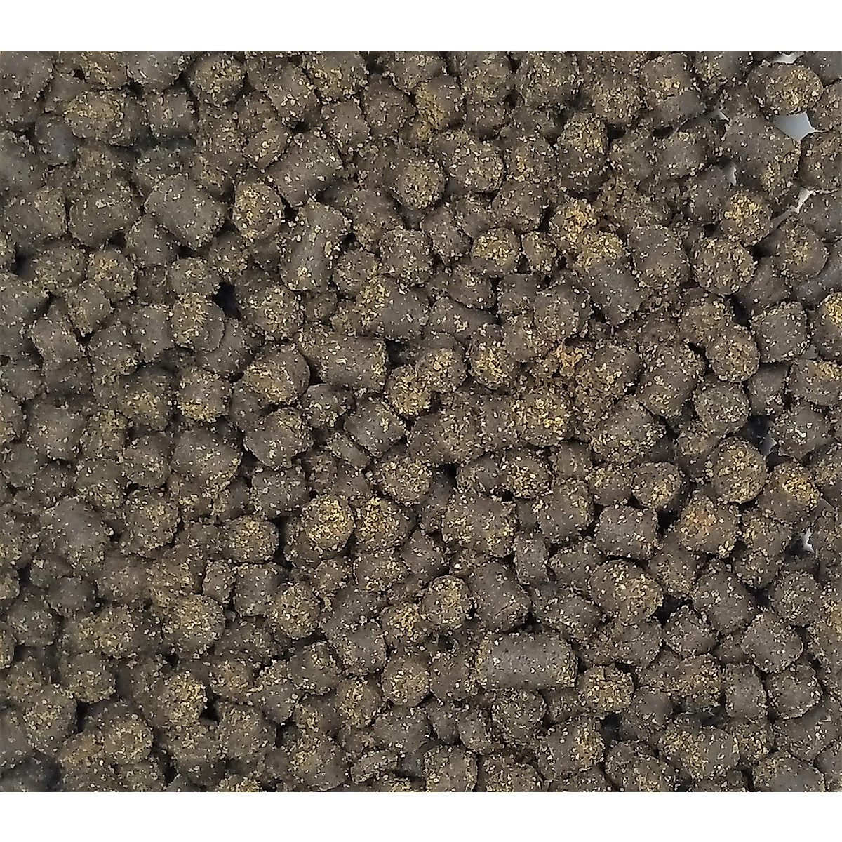 Invert Aquatics Soft Pellets for Axolotls - Moist Sinking Diet for Axolotl, Newts, Salamanders & Other Small Amphibians (1.5 oz (42.5g))