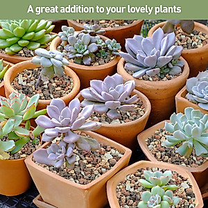 GASPRO 5lbs Lava Rocks for Plants, 1/5 Inch Pea Gravel for Succulent, Pots Indoor, Terrarium, Cactus, Bamboo, Bonsai Tree, Top-Dressing, Mixed Color Volcanic Rocks, Good Drainage