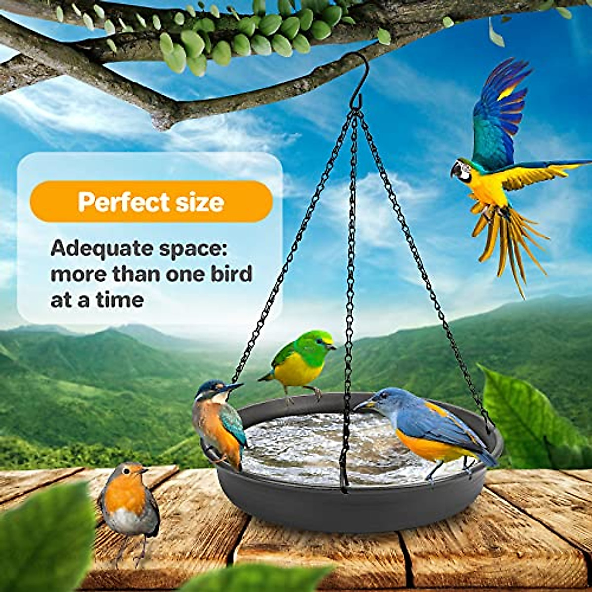 Hanging Bird Bath Hanging Bird-Feeder - CARGEN Garden Bird Bat Bird Feeder Plate Hanging Tray Bird Bath Tray Hanging Bird Water or Bird Seed hanging bird baths for outdoors
