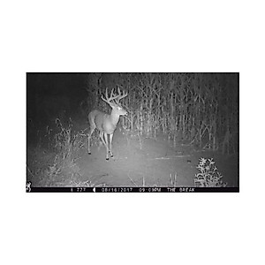 Browning Trail Cameras Strike Force Extreme 16MP Game Camera Bundle with 32GB SD Card and USB Card Reader (3 Items)