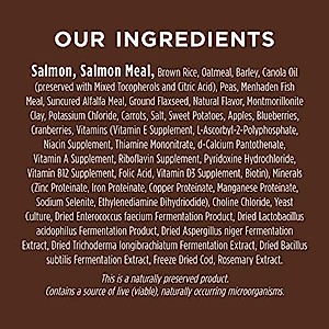 Instinct Be Natural Real Salmon & Brown Rice Recipe Natural Dry Dog Food, 4.5 lb. Bag