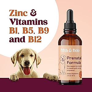 Dog Prenatal Vitamins Pregnant Kit - Prenatal Vitamins for Dogs - Pregnant Dog Supplies - Prenatal Dog Vitamins - Prenatal Kit for Pregnant Dogs - Folic Acid for Dogs - Prenatal for Dogs