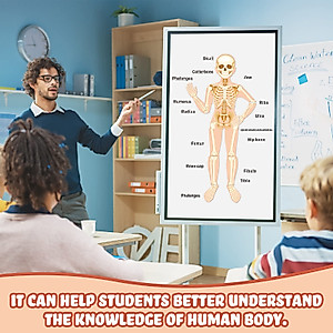 Capoda 63 Pieces Human Body Magnetic Puzzle Set Human Skeleton Organs Muscles Anatomy Magnetic Accents Body Parts Recognition Learning Kit for Home Decoration