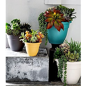 The HC Companies 10 Inch Caribbean Planter - Lightweight Indoor Outdoor Plastic Plant Pot for Herbs and Flowers, Honey