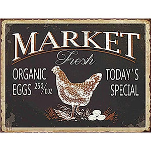 Flowerbeads Farmhouse Sign Funny Wall Signs Chicken Coop Country Decor for Home, Farm & Kitchen