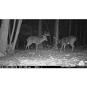 SPYPOINT Link-Micro-LTE Cellular Trail Cameras 10MP with Low-Glow and 32GB Micro SD Card (Link-Micro-LTE)