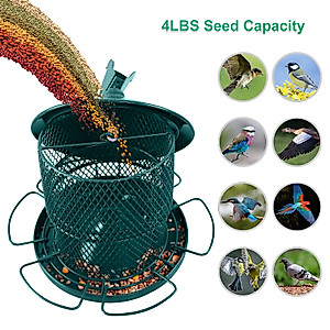 Metal Bird Feeders for Outside Hanging,Squirrel Proof Wild Bird Feeders for Cardinal, Heavy Duty with 4lbs Large Seed Capacity,6 Perches for Garden Yard Outdoors
