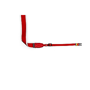 Polaroid Camera Strap Flat – Red Stripe