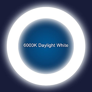 T9 LED Circline Light Bulb, 8 Inch 1600LM LED Circular Light, 13W Clear Cover 6000K Daylight Replacement for FC8T9/CW 22-Watt Fluorescent Circular Bulb(FC8T9/CW), Ballast Bypass Required