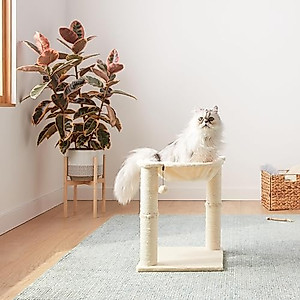 Amazon Basics Cat Tower with Hammock and Scratching Posts for Indoor Cats, 15.8 x 15.8 x 19.7 Inches, Beige