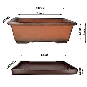 MUZHI Decorative Ceramic Bonsai Planter Pot 8.5 Inch with Tray, Breathable Unglazed Rectangle Terracotta Clay Pot for Tree Succulent Cactus Indoor Outdoor Red Brown